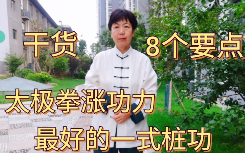 太极拳涨功力最好的一式桩功,多角度示范,都可以学会