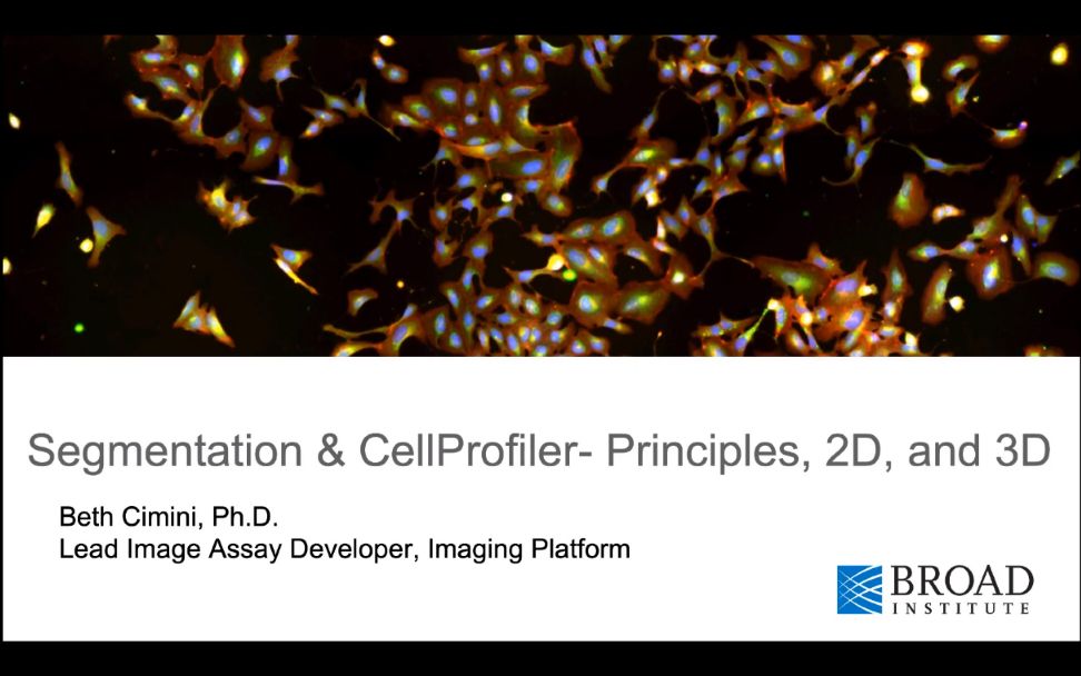 CellProfiler | Segmentation & CellProfiler- Principles, 2D, and 3D