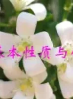 人教版六年级数学上册 4.2比的基本性质与化简比