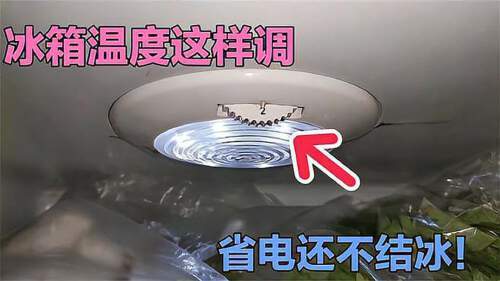 冰箱温度调错费电又结冰?一招教你正确设置,省电又保鲜!