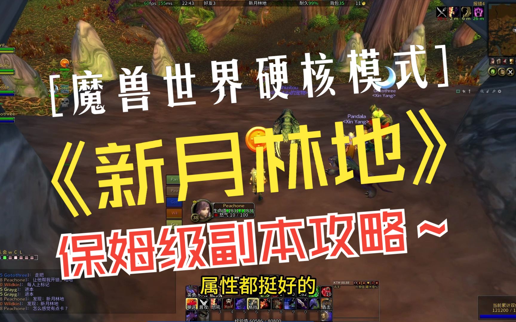 魔兽世界HC硬核模式 乌龟服新月林地副本 保姆级开荒攻略 新月林地...