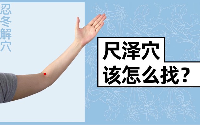 尺泽穴该怎么找?