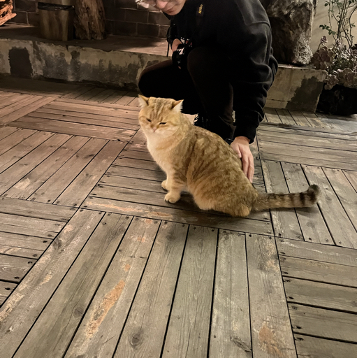 等夜慢冷 