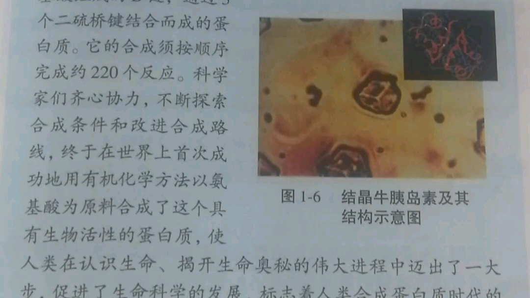 1965年我国科学家在世界上首次用人工方法合成了结晶牛胰岛素。...