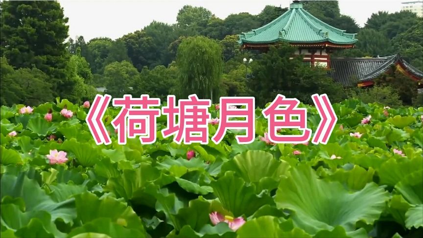 歌曲《荷塘月色》很好听哦