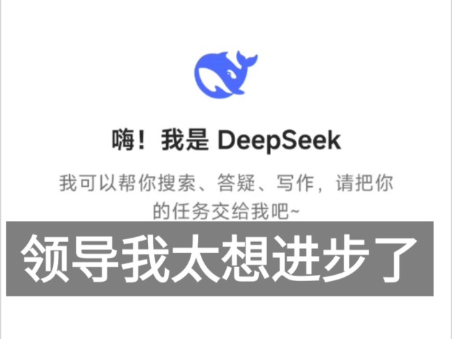 让DeepSeek教你如何更快的进步!领导我太想进步了!