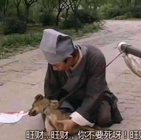 晓凡学长 