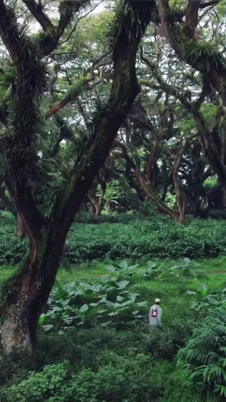 过去常常看电影里的风景,想这样的地方是否真的存在 当我开始自己...