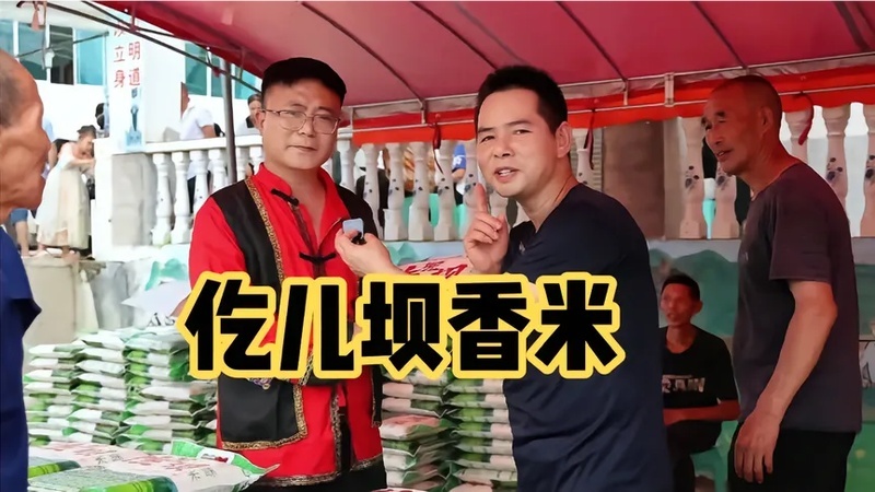 什么叫"稻鱼共生"余庆县龙家镇新坪仡佬族村"吃新节"的新米