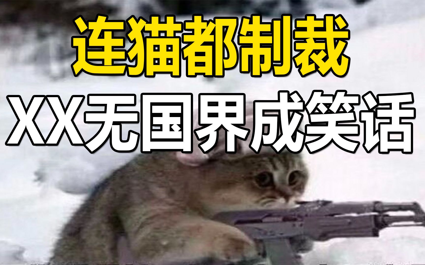 连猫都制裁,欧美裹挟全球选边站,双标式制裁,给我们提了个醒