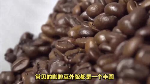 珠粒咖啡是什么?圆豆跟平豆有什么区别?咖啡豆真有公母之分吗?