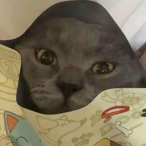 小乐C语言 