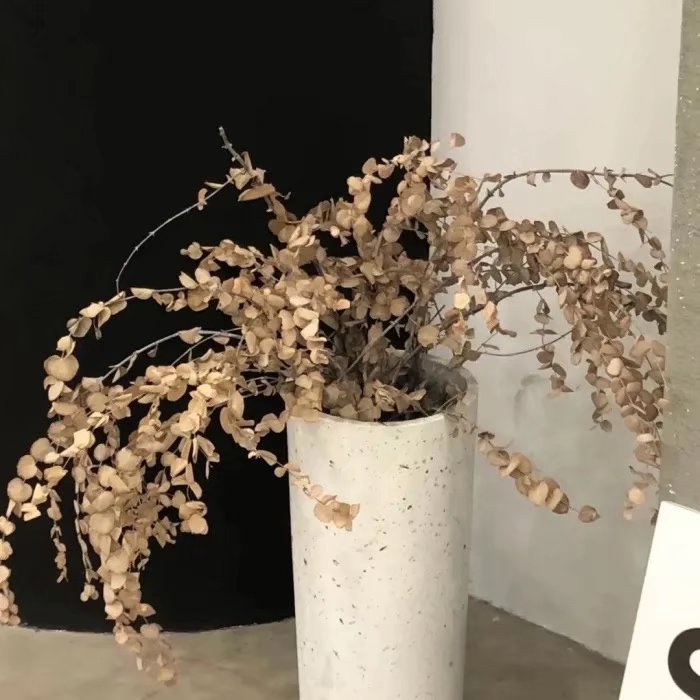 萌萌爱影视 