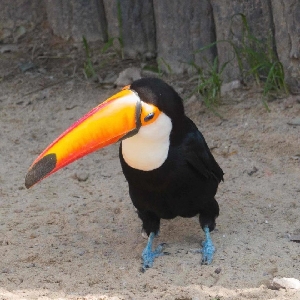 别来无恙啊啊GL 