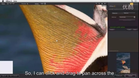 Google Nik滤镜基础应用教程 08 缩放工具的使用