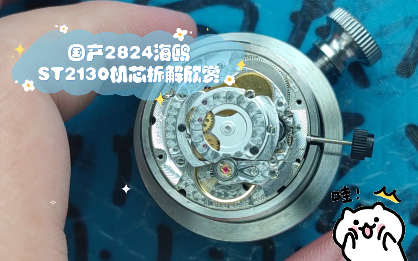 国产2824海鸥ST2130机芯拆解欣赏