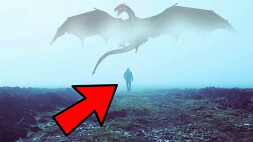 细数全球最诡异的动物,每一个都让你怀疑人生!