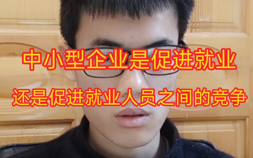 中小型企业——过剩资本、过剩劳动力和过剩产能的结合体,为什么中...