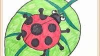 杨桃妈妈简笔画ladybird瓢虫