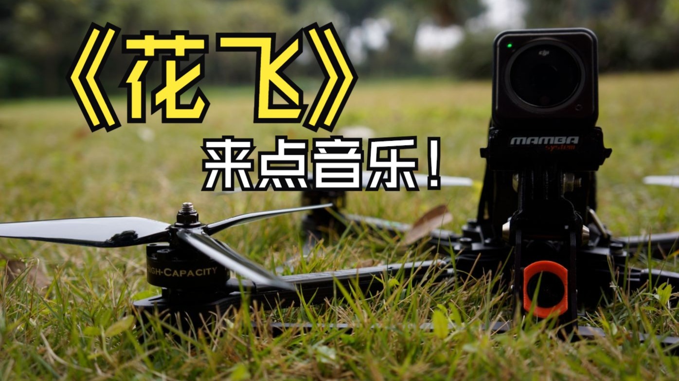 5寸花飞/来点音乐