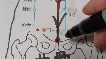 找准曲骨穴,就这么简单