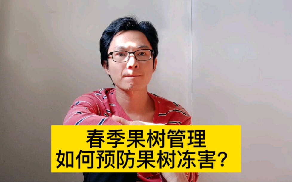 春季果树管理如何预防果树冻害?
