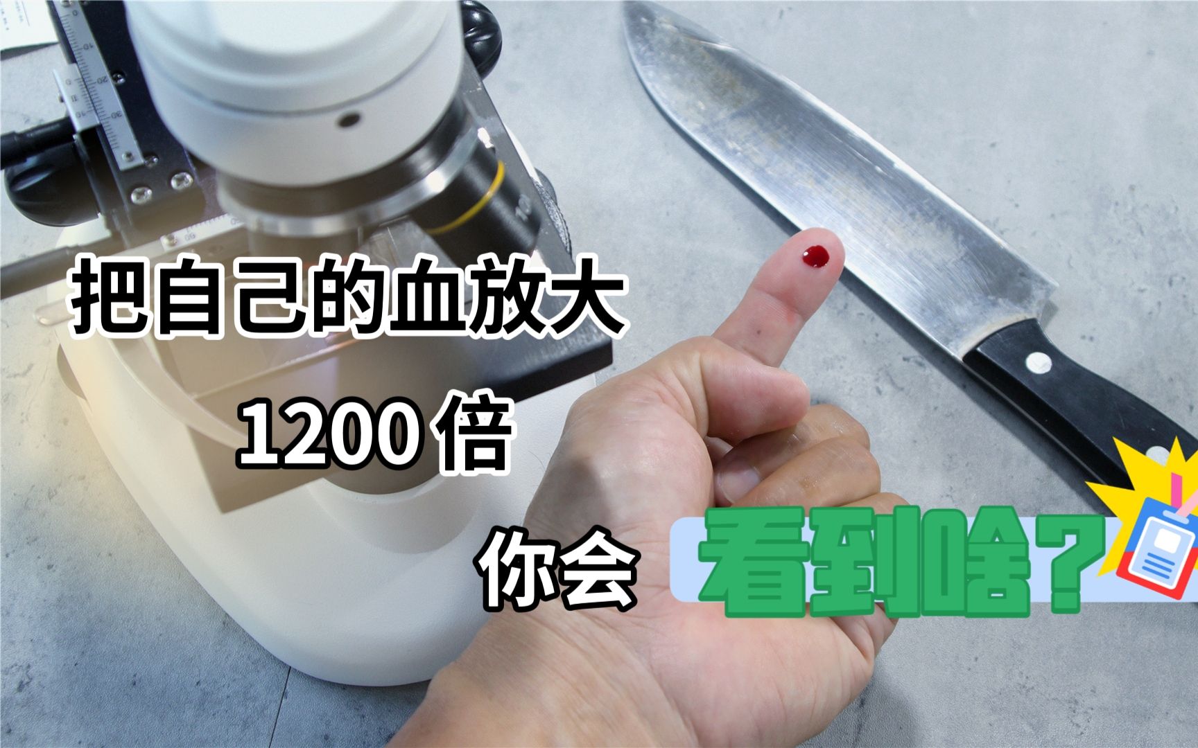 把自己的血放大1200倍以后会看到啥?我忍不住试了一下:太震撼了