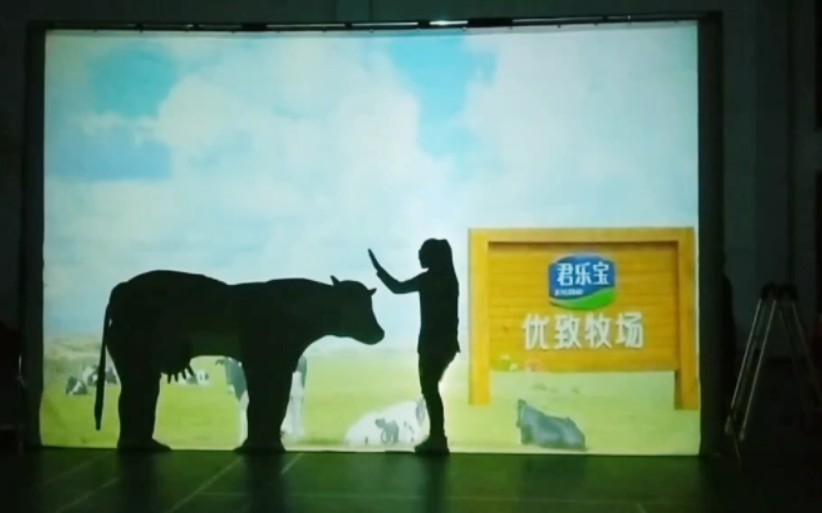 2024年最新年会节目,最有创意的年会表演,影子舞指导,企业晚会表演。