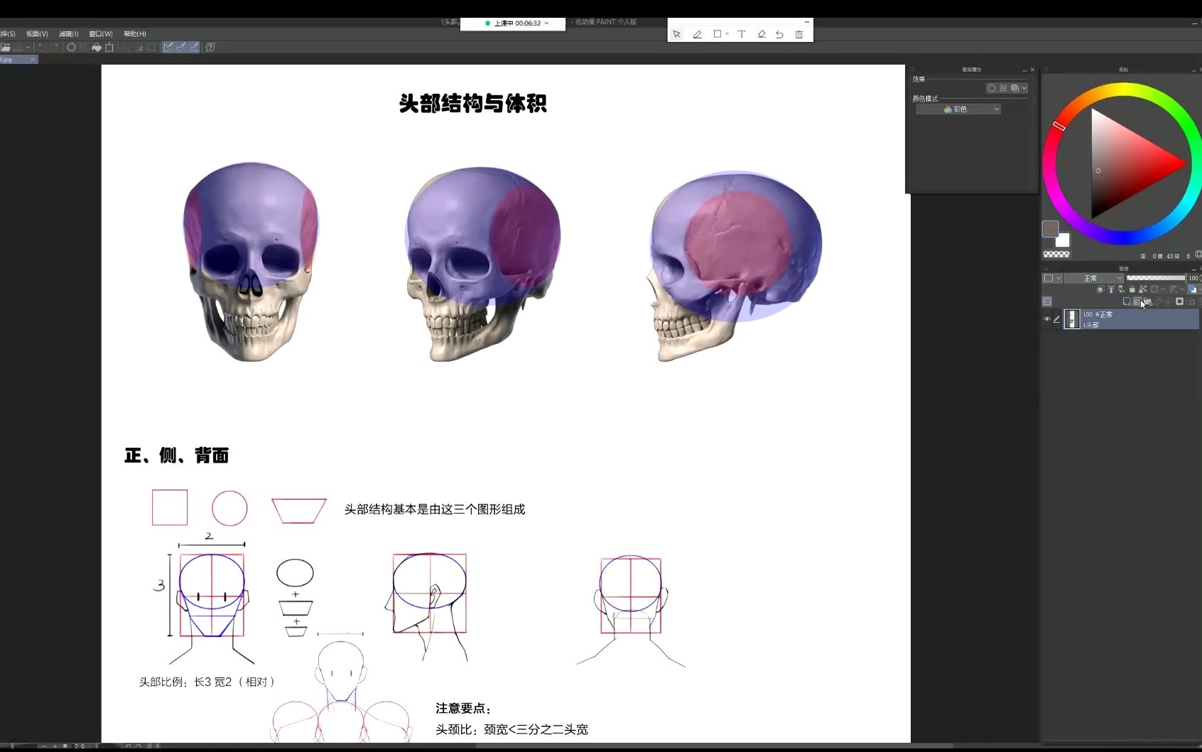 【直播回放教程】动漫头型与五官的绘制技巧(用骷髅讲头部结构比例)