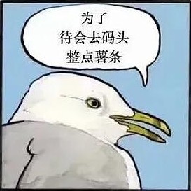 爱吃薯条的肉鸽 