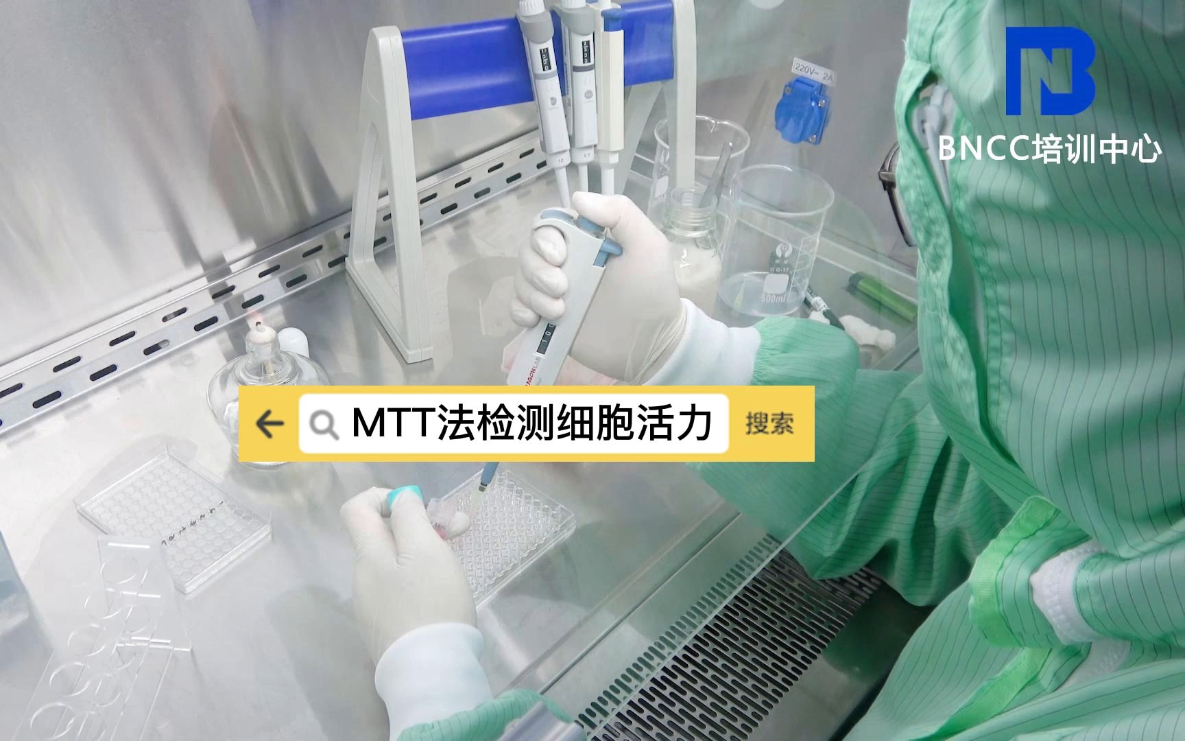 MTT发检测细胞活力