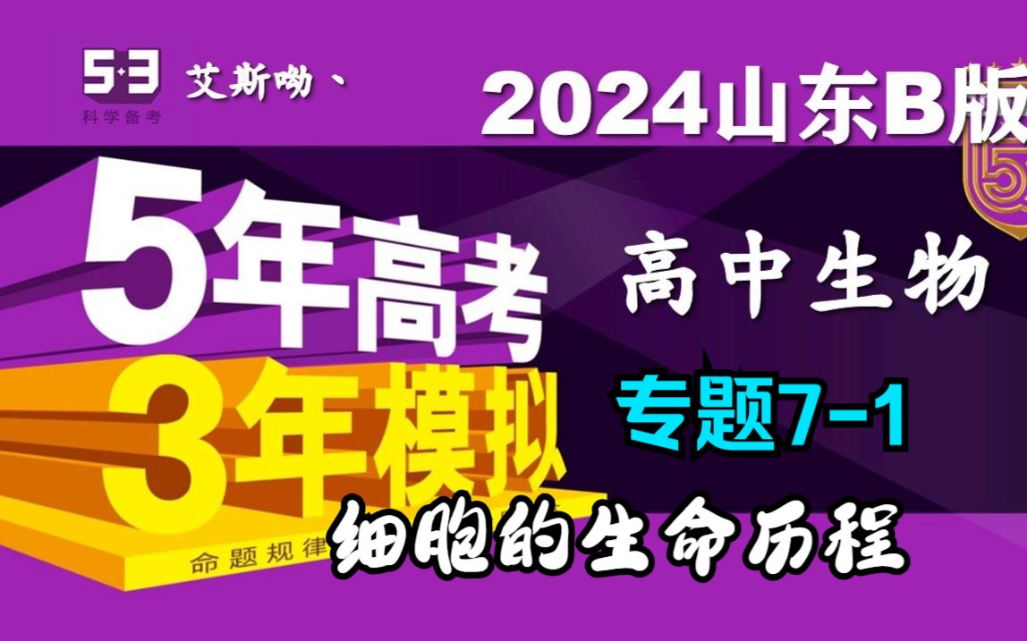 【2024年山东B版】高中生物 专题7-1 细胞的生命历程 一轮刷题 五年...