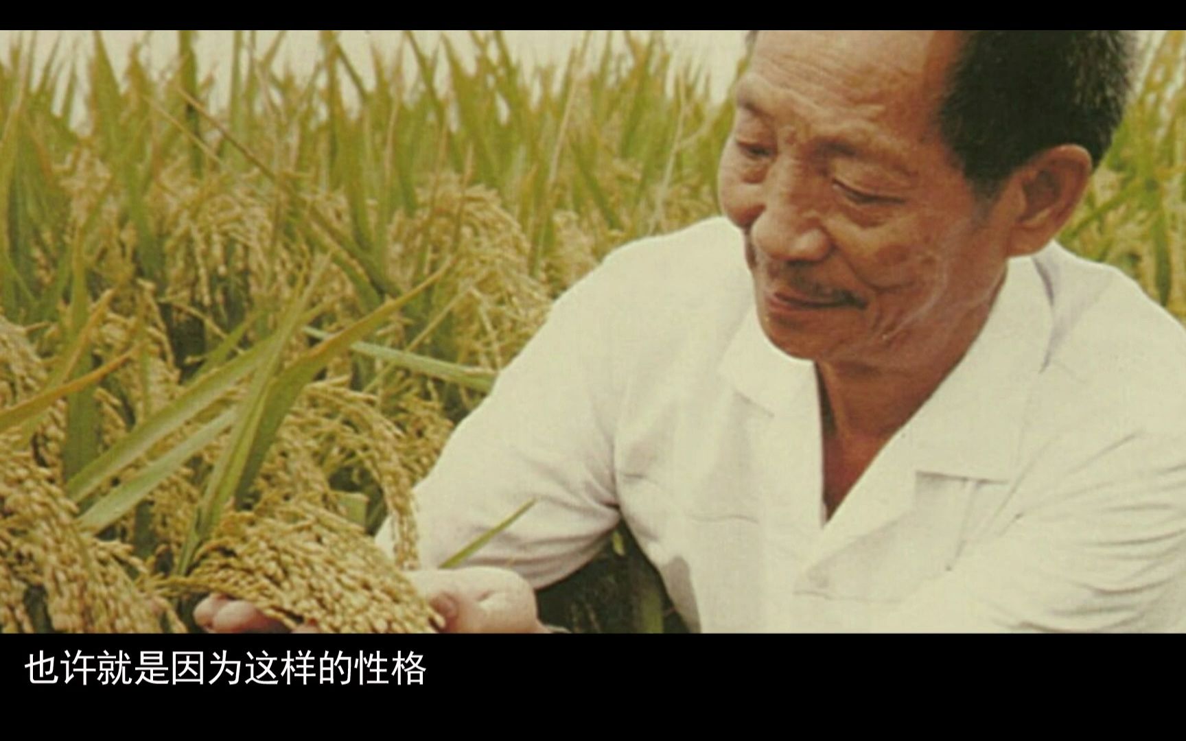 袁隆平简介