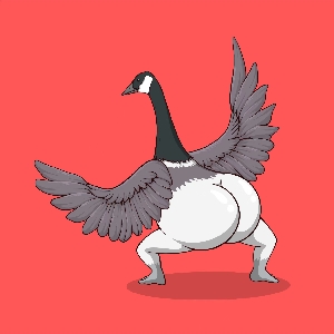 Bootybirds屁股鸟 