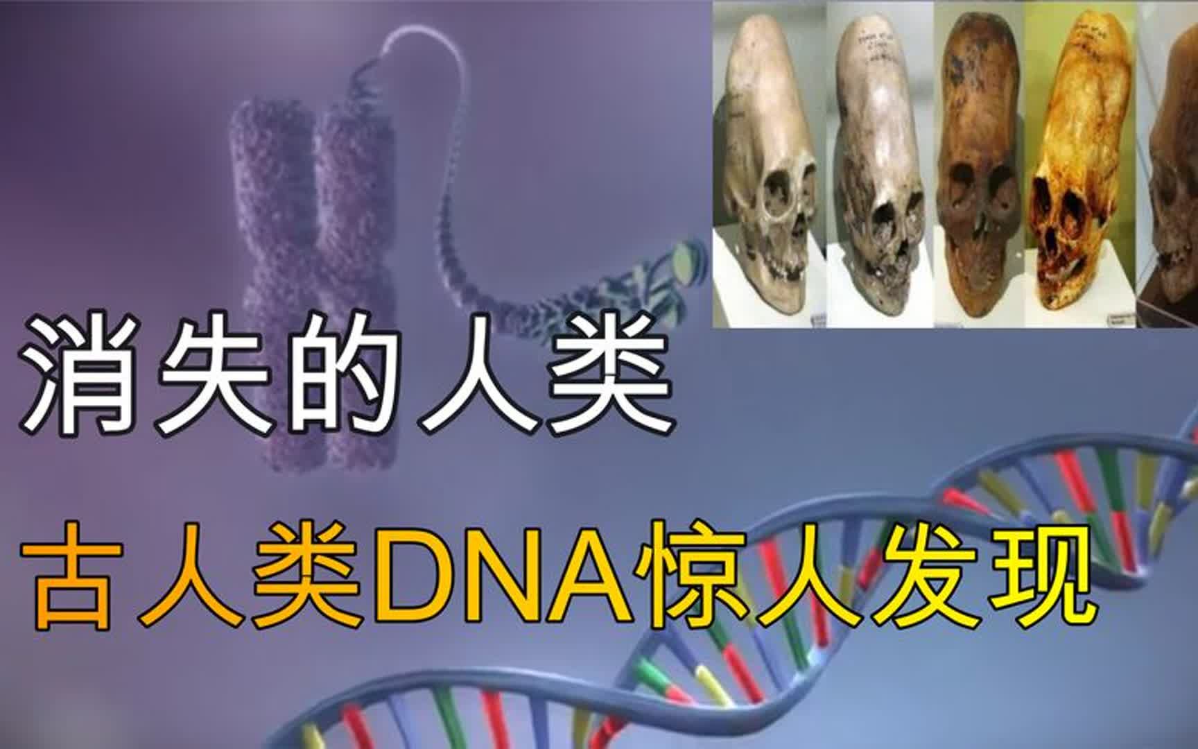 古人类研究领域惊人发现揭开人类进化史秘密,合集