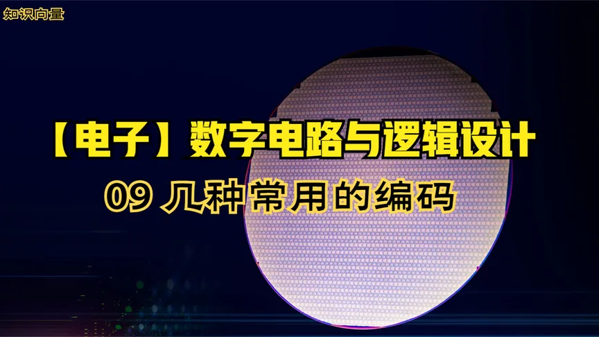 【电子】数字电路与逻辑设计-09 几种常用的编码@知识向量
