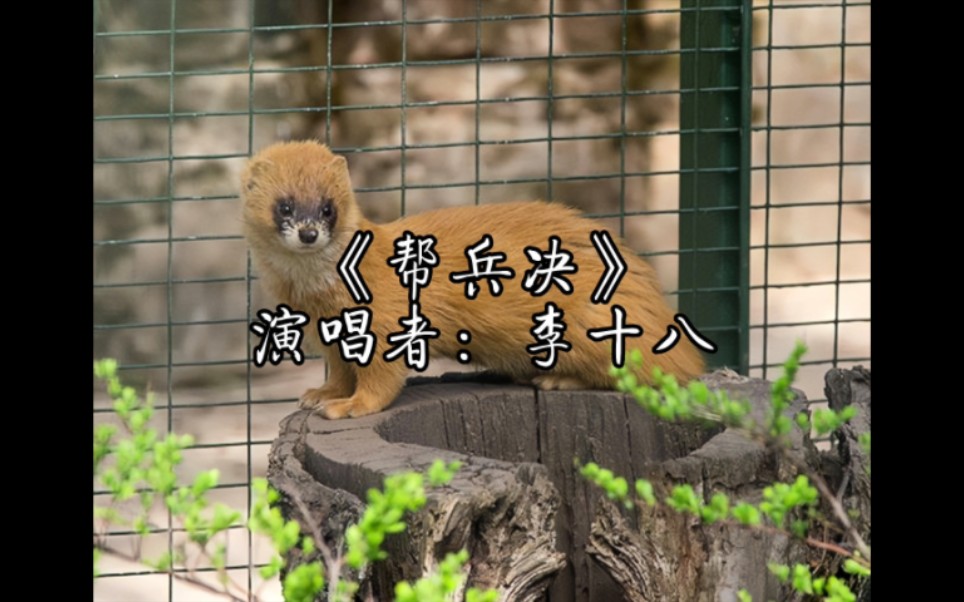 东北非物质文化遗产《帮兵决》——李十八