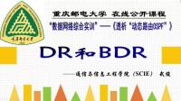 7--透析动态路由OSPF协议之“DR和BDR”