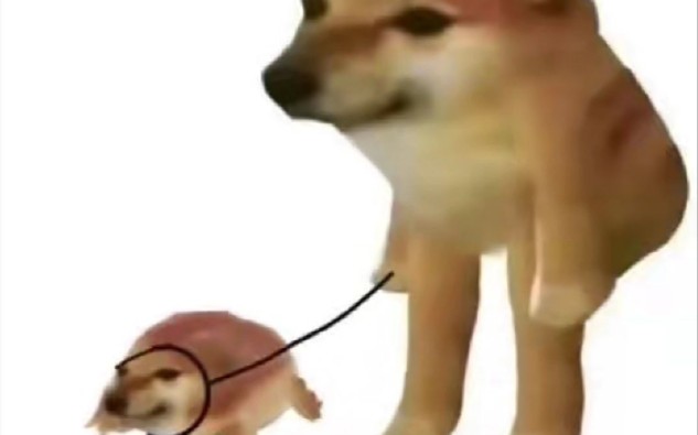 骑飞机_哔哩哔哩bilibili_我的世界