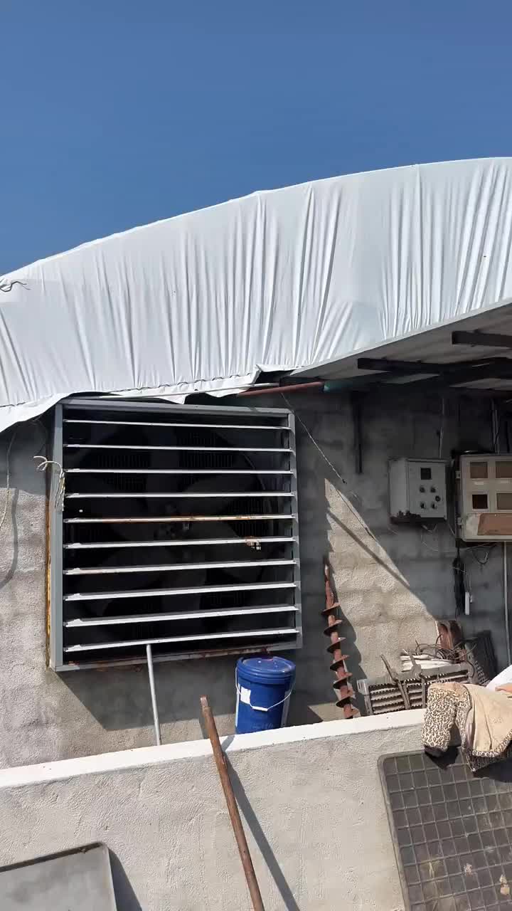 ...#三农流量扶持计划 #农业种植致富项目 #养殖大棚 @DOU+小助手