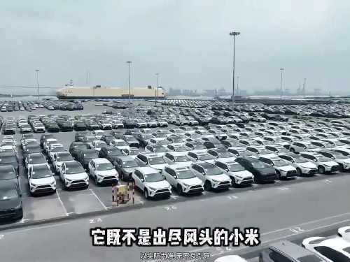 做梦都想不到,6月新能源汽车销量排行榜第一居然国产车!