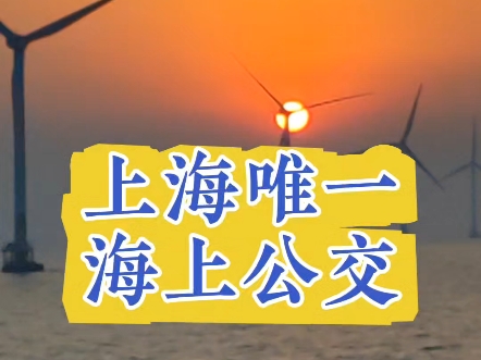 上海唯一海上公交