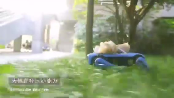 全球首次!杭州云深处公司机器狗绝影 Lite2完成侧空翻