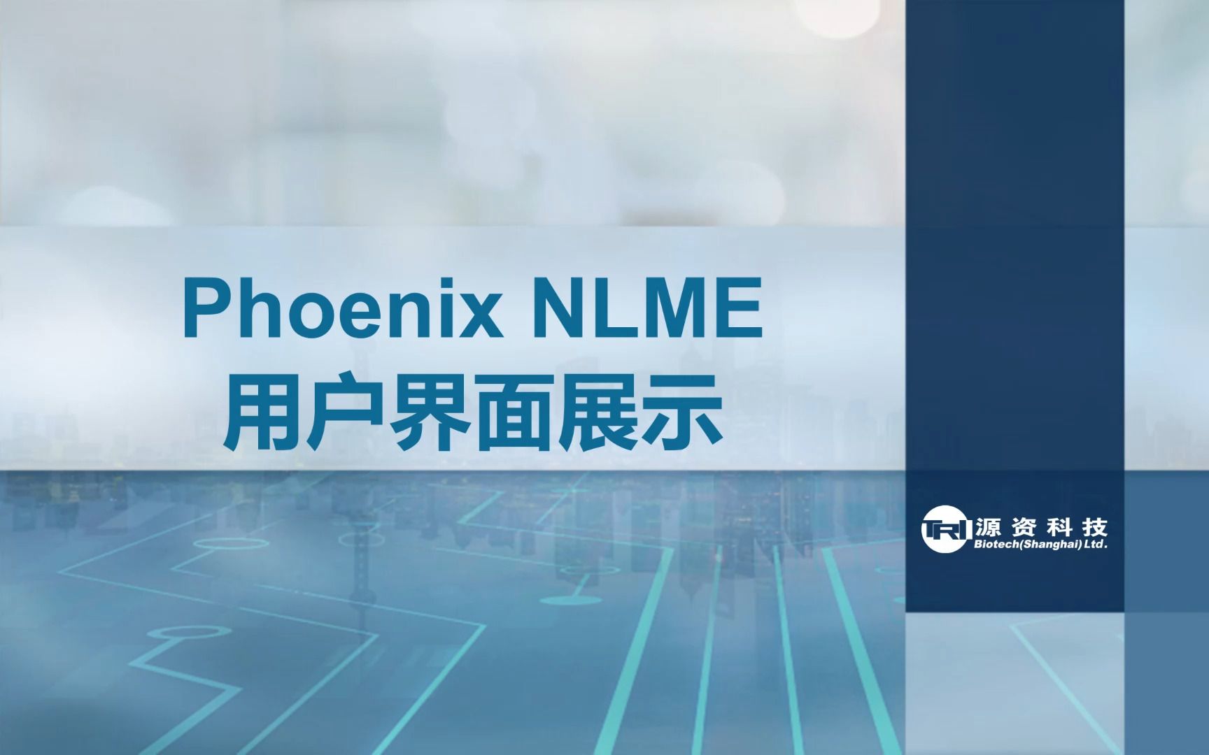 5-Phoenix NLME用户界面展示
