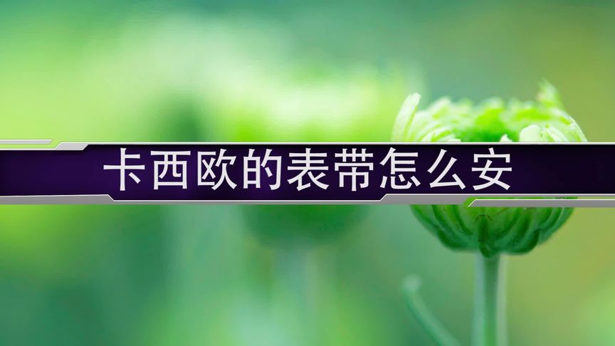 卡西欧的表带怎么安?