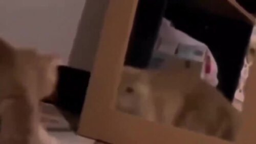 笑到飙泪!2年半练习生猝不及防翻车现场大合集