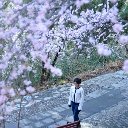 惠风和畅hhh 