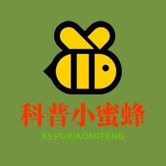 科普的小蜜蜂 