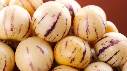 熬夜党福音!一颗人参果解决腿肿便秘,让你告别亚健康