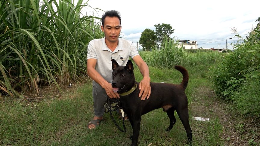 跟大家交流狗病的治疗方法反而挨骂,既然这样不如遛狗去